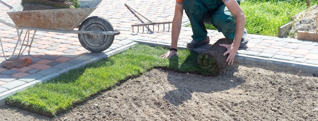 How To Dig Up A Lawn