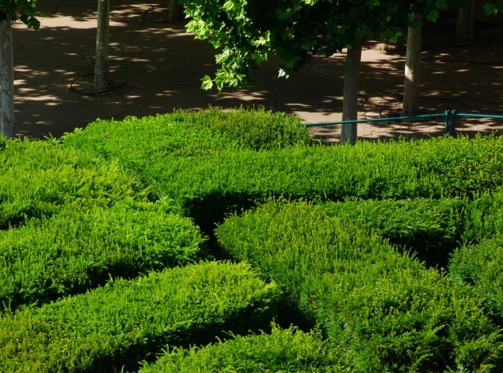 How To Build A Hedge Maze