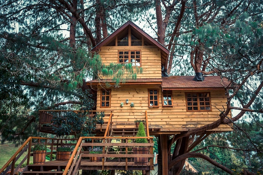 How to Build a DIY Treehouse | iseekplant