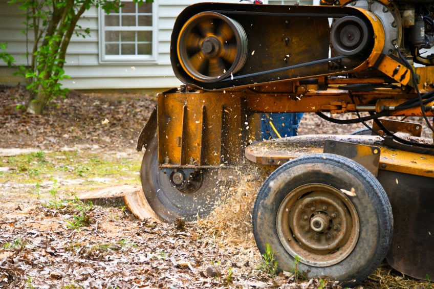 2022 Tree Stump Removal Cost Guide- Competitive prices | iseekplant ...