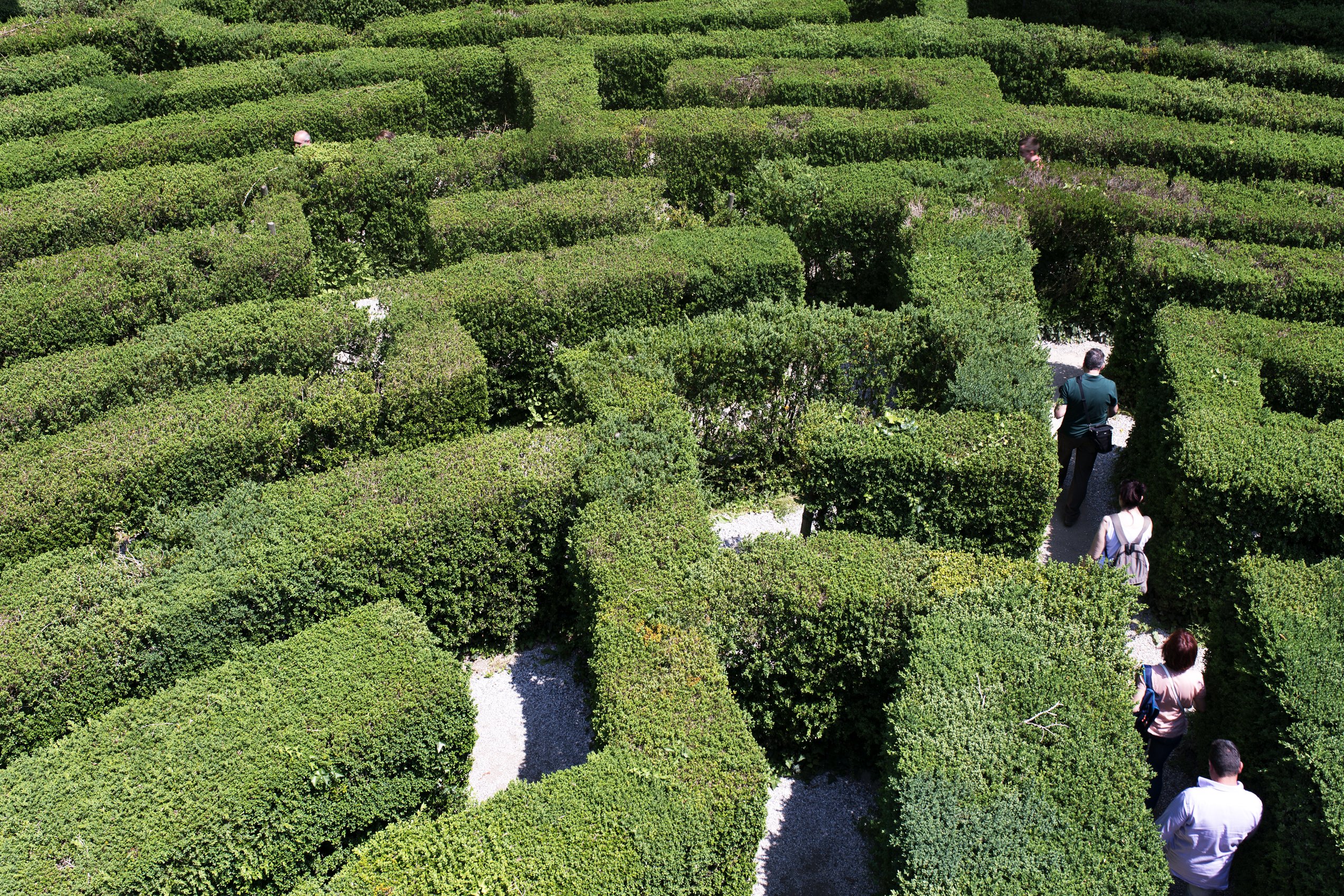 The World's 5 Best Garden Mazes | iseekplant